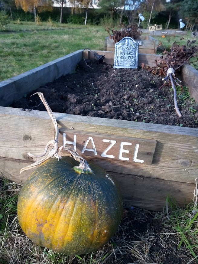 More Halloween Fun! – Broughton Primary