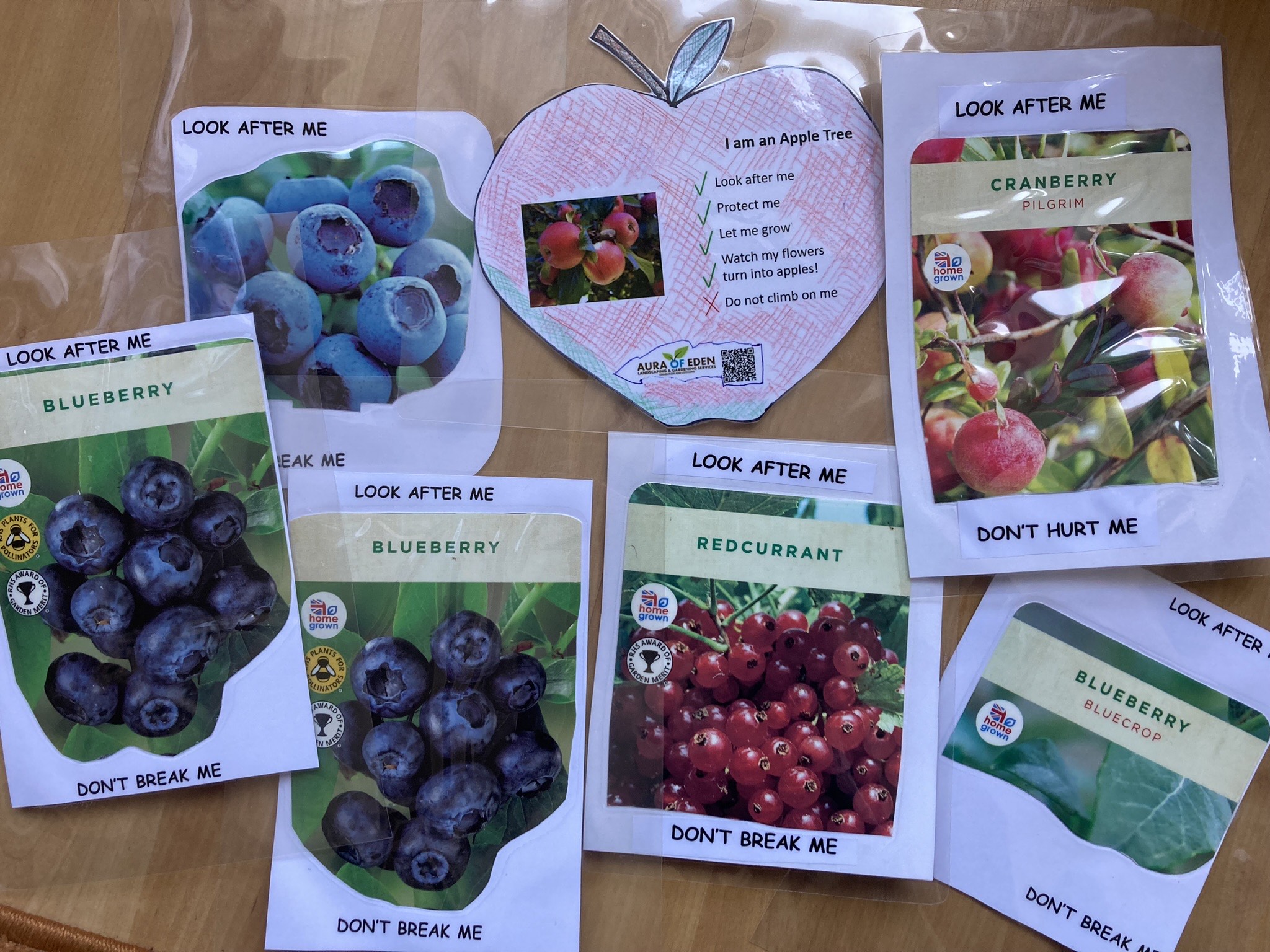 FAB Fruit Trees – Broughton Primary