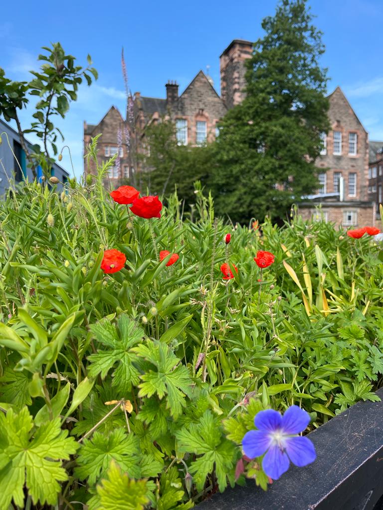 Summer Fair Update – Broughton Primary