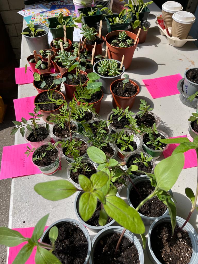 Summer Fair Update – Broughton Primary