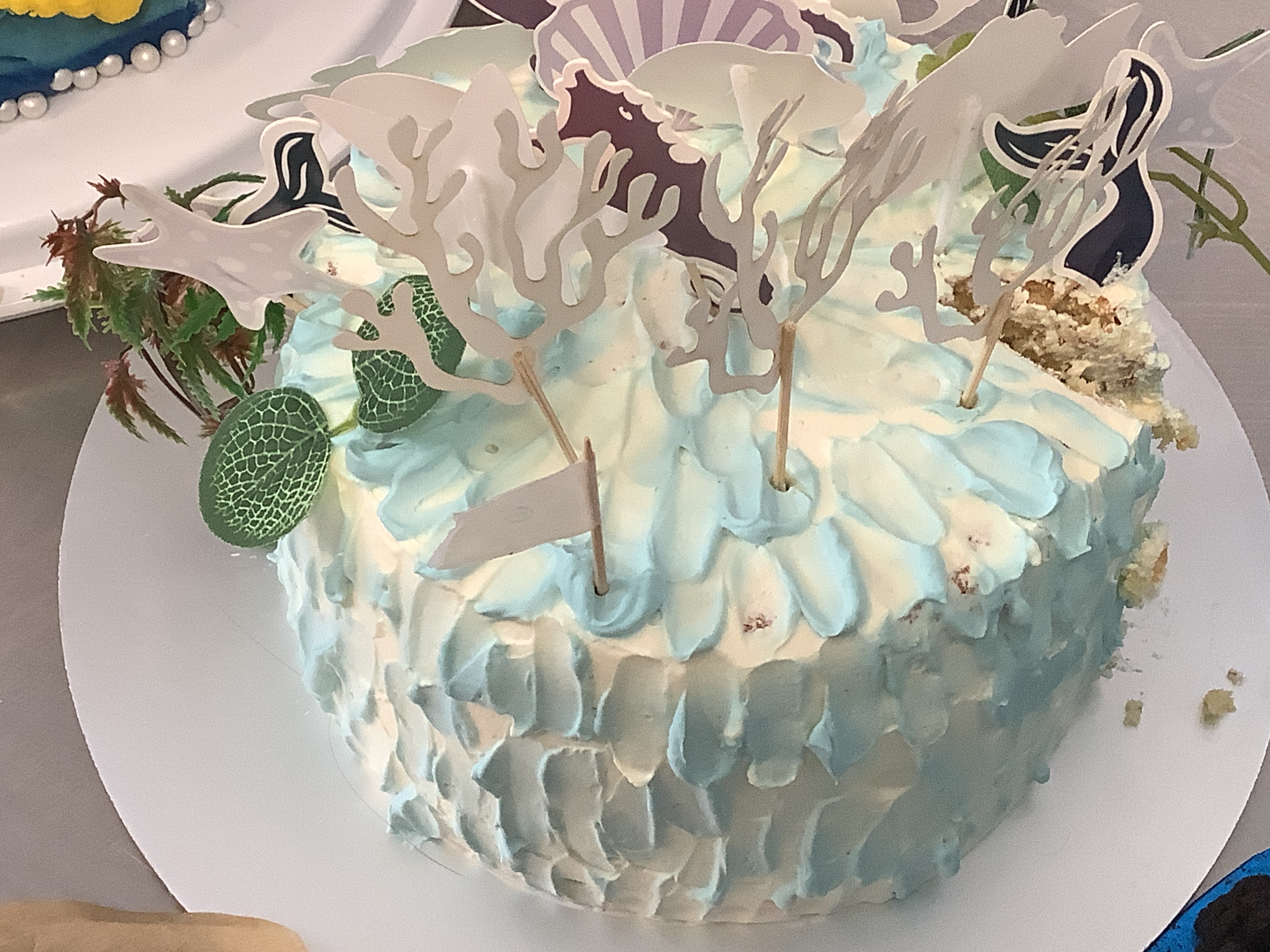 Summer Fair 2024 – Broughton Primary